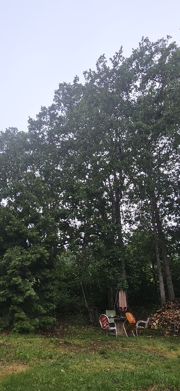 Good Morning | Adventure Sidecar