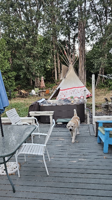 Good Morning | Adventure Sidecar